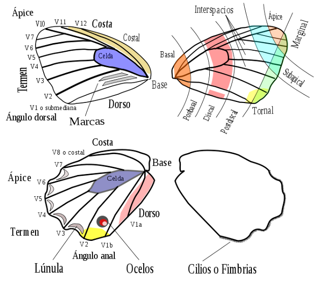 El Blog de Isa y Juan: 11/13/17