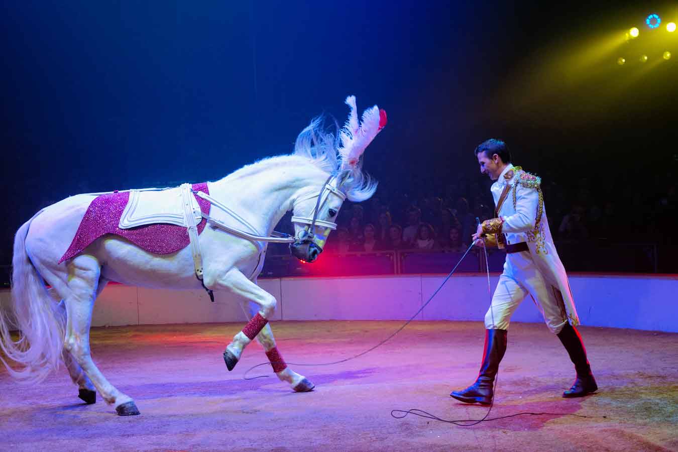 circus: John CAPLOT (photos de Didier Houisse)