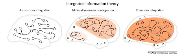 Reflections Of The Void Links Of The Day 09082018 Consciousness And Integrated