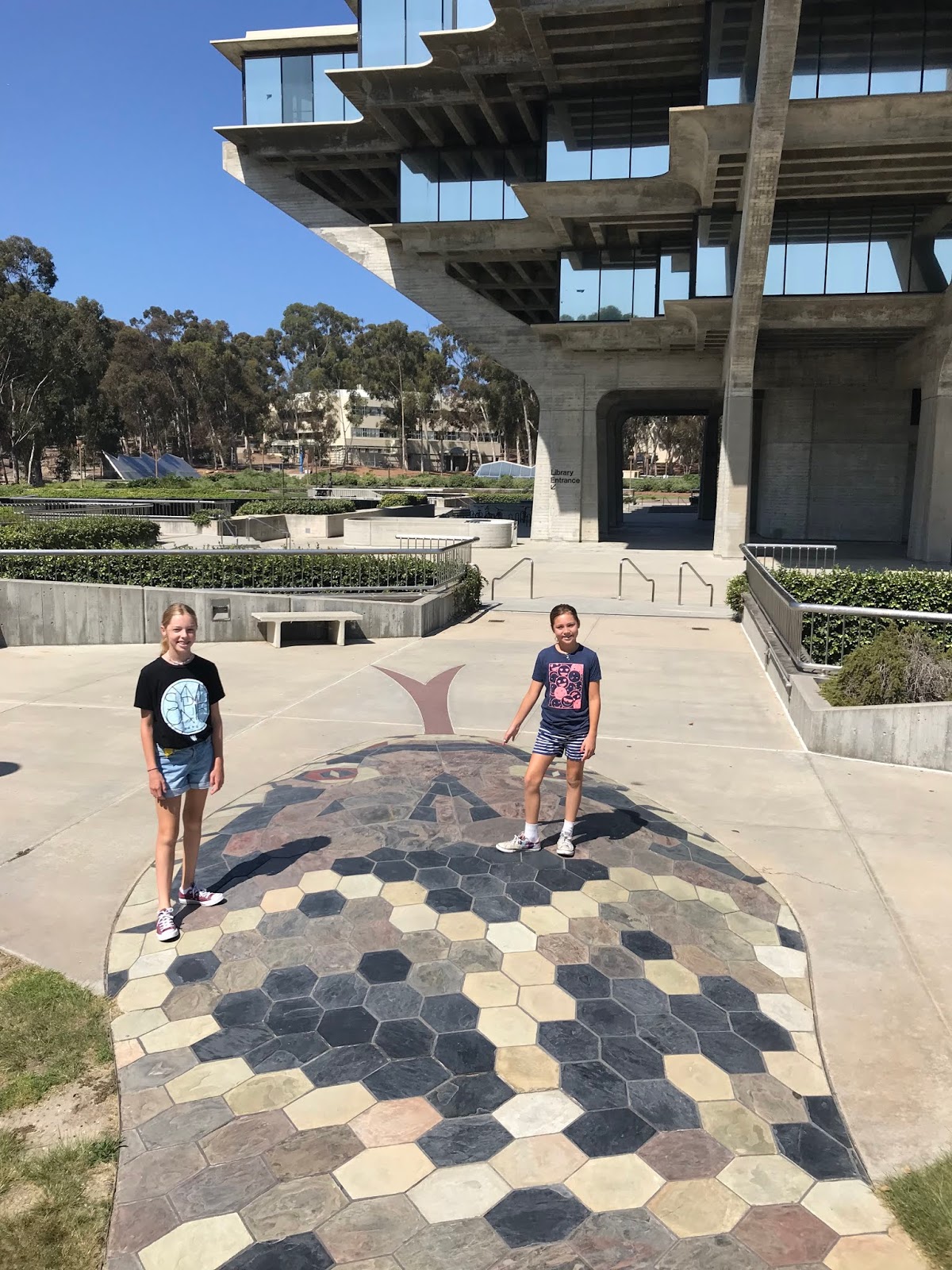 Here and There: UCSD Stuart Collection