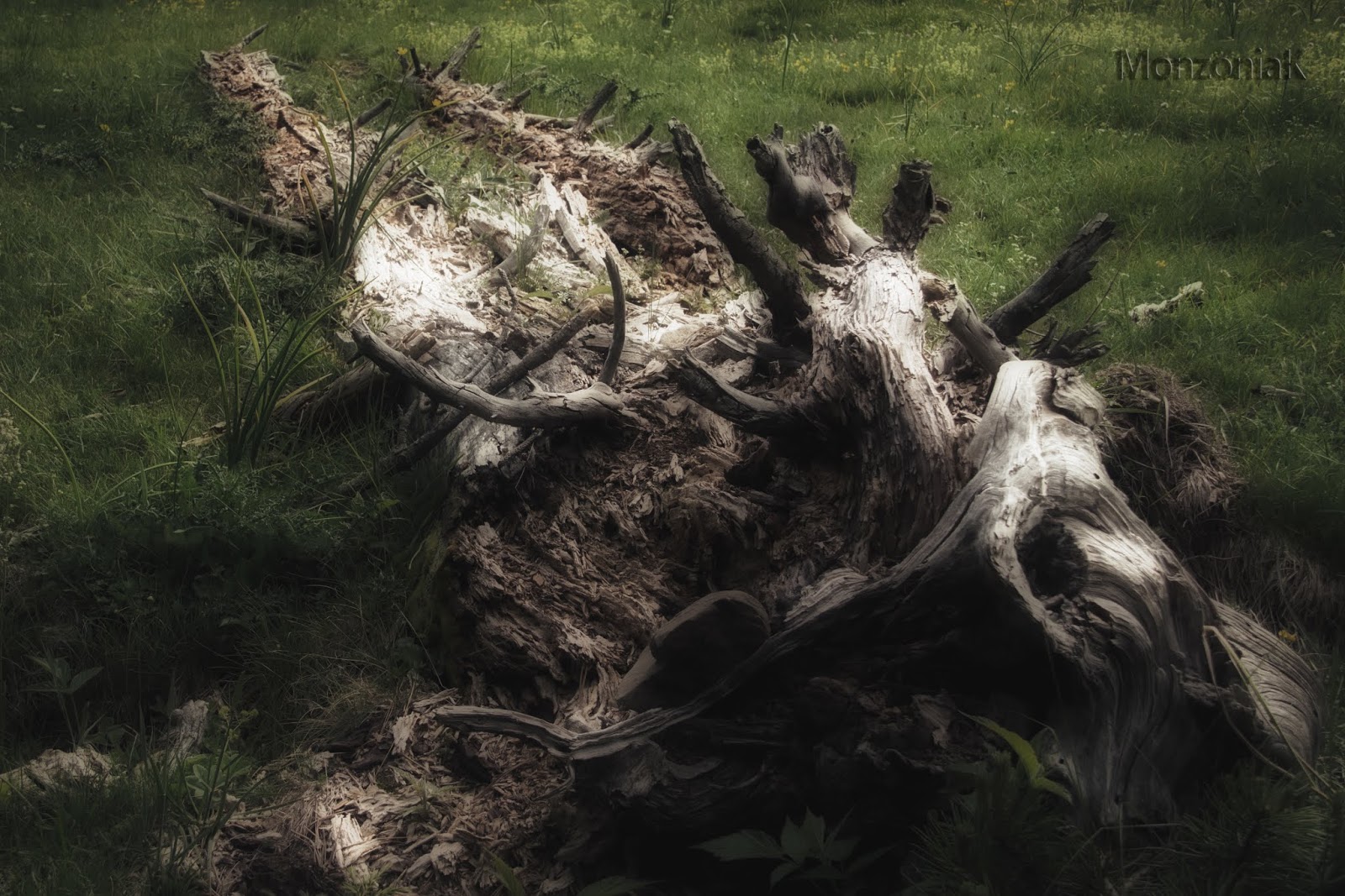 MonzoniaK: El mito de Eco y Narciso