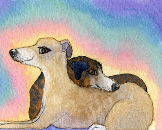 MontyandRosie: Wanna hug? We have Border Collie hugs, Whippet hugs ...