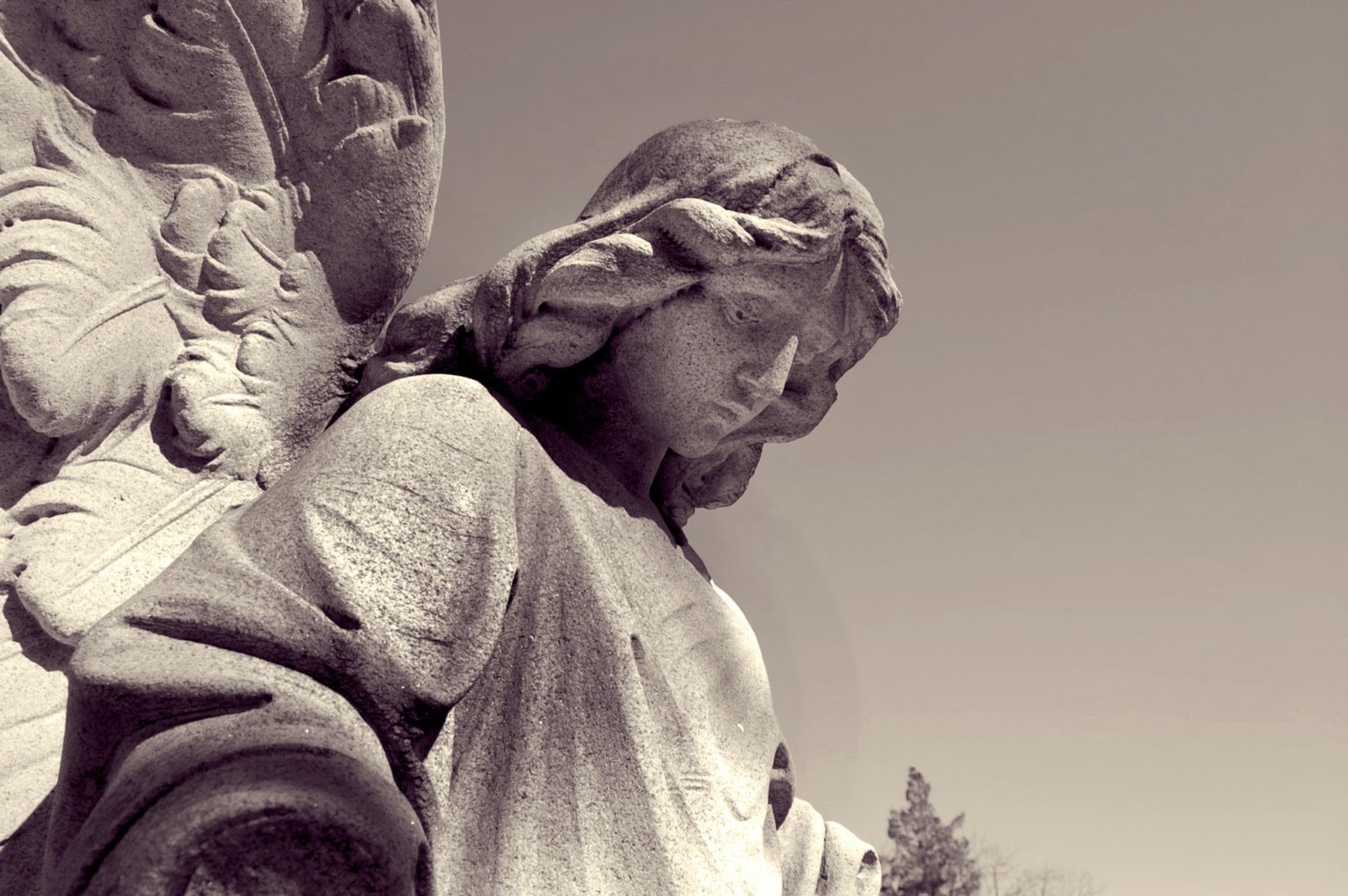 Angel Haiaiel 9 al 13 Marzo