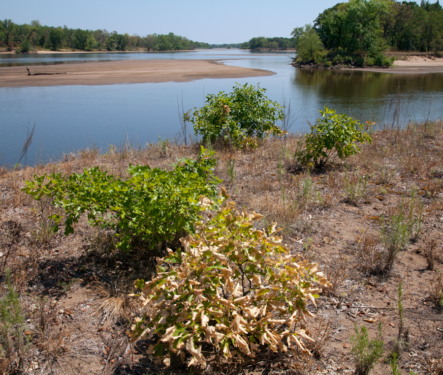Urban Wilderness: A visit to “Sand County”