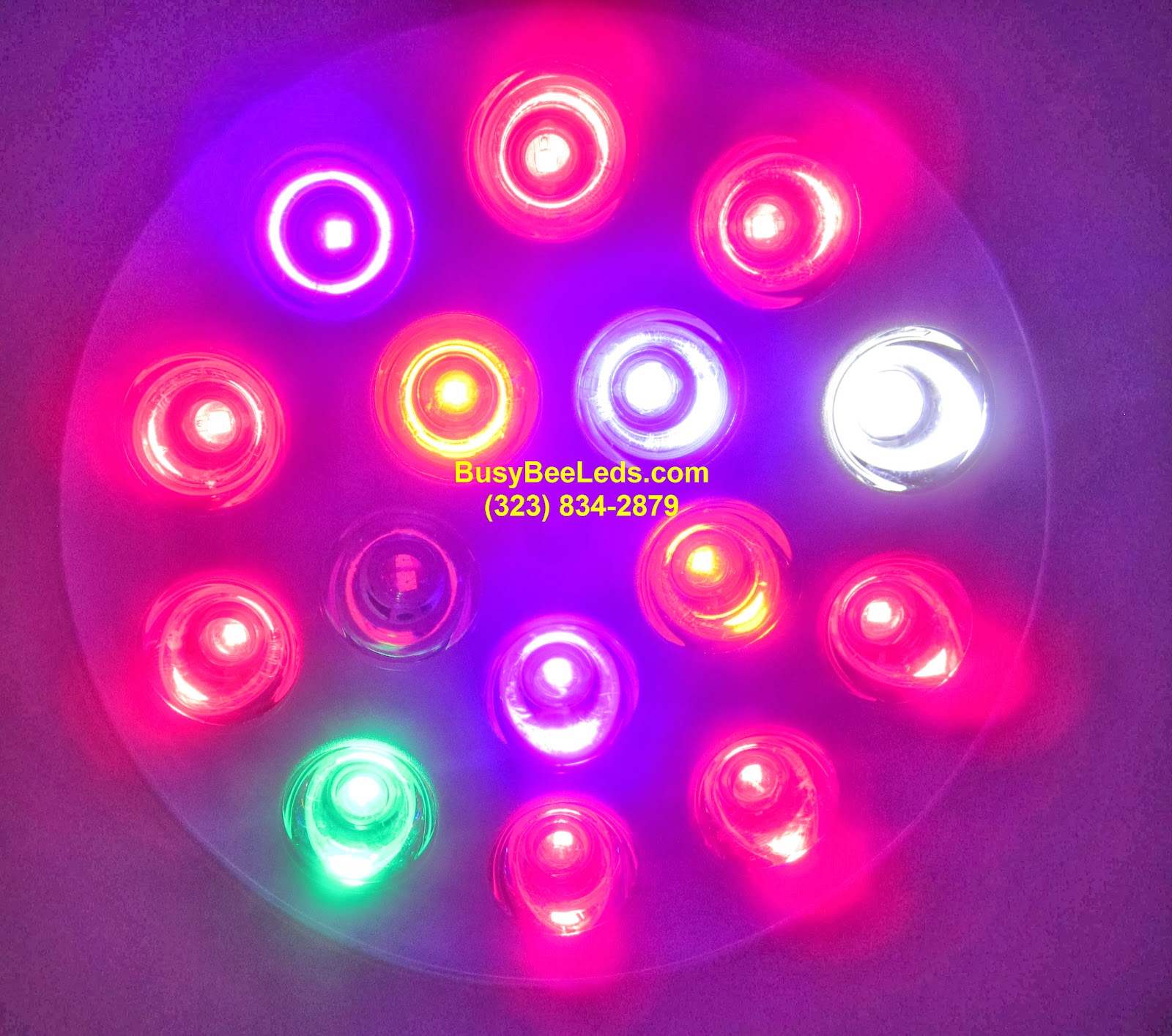 Busy Bee Leds LLC: LED Grow Lights Stinger ( ST series) 120w to 720w