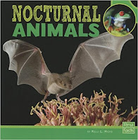12 Nocturnal Animal Books for Kids {with teaching ideas!} - Mrs ...