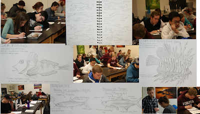 Virginia Tech Ichthyology Class : How to learn Ichthyology and make it ...