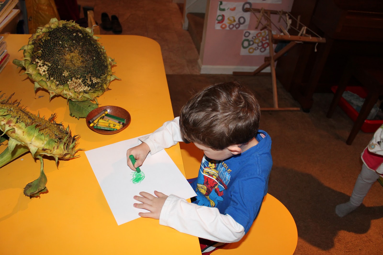4 The Love of Learning: SUNFLOWER OBSERVATION AND ART STUDY