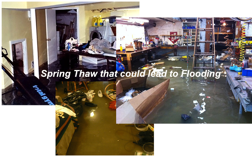 What to do when your basement has flooded | The Left Eye