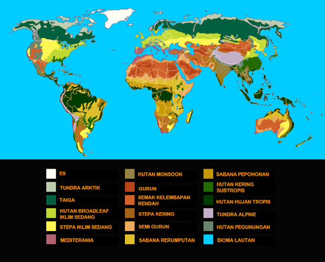 Mengenal Hewan dan Tumbuhan: Bioma dan Ekosistem