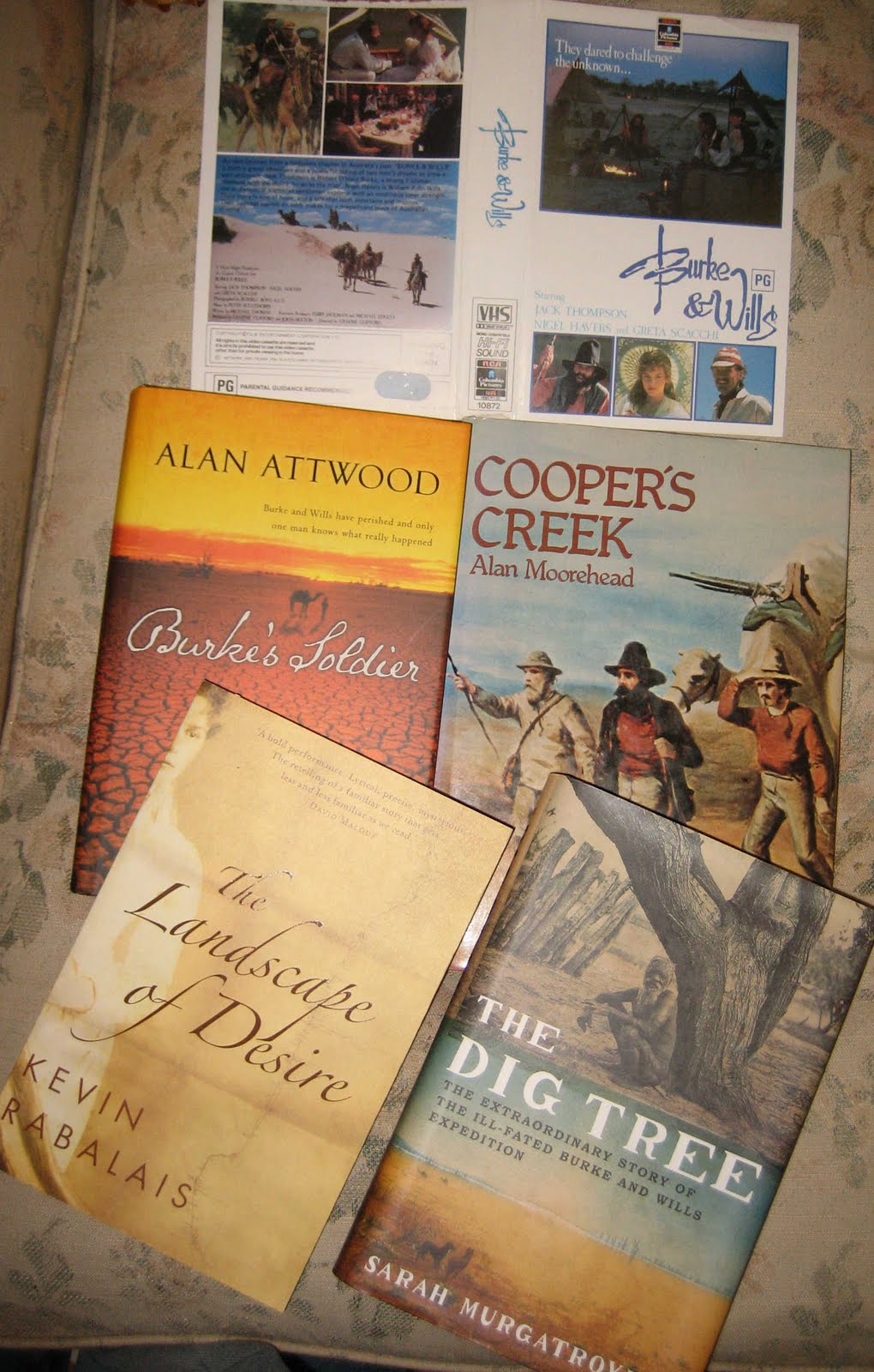 theozfiles: King's "UFO vision" at the tragic end of the 1861 Burke and ...