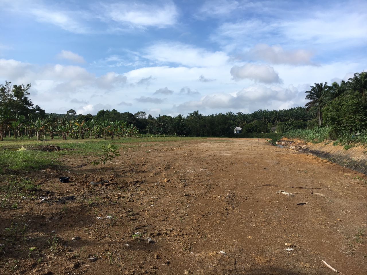 DUSUN TOK BAK: TANDA BATU SEMPADAN