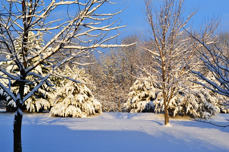 SWAC Girl: Sun peeks through ... snowy Monday morning