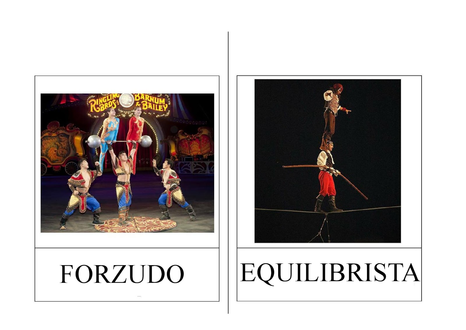 LAS ROQUERAS: TARJETAS VOCABULARIO "EL CIRCO"