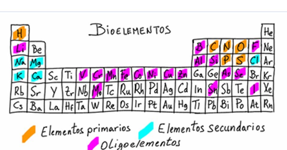 Bioelementos primarios y secundarios