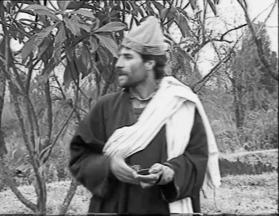 CHINAR SHADE : "LADDI SHAH " OF KASHMIR