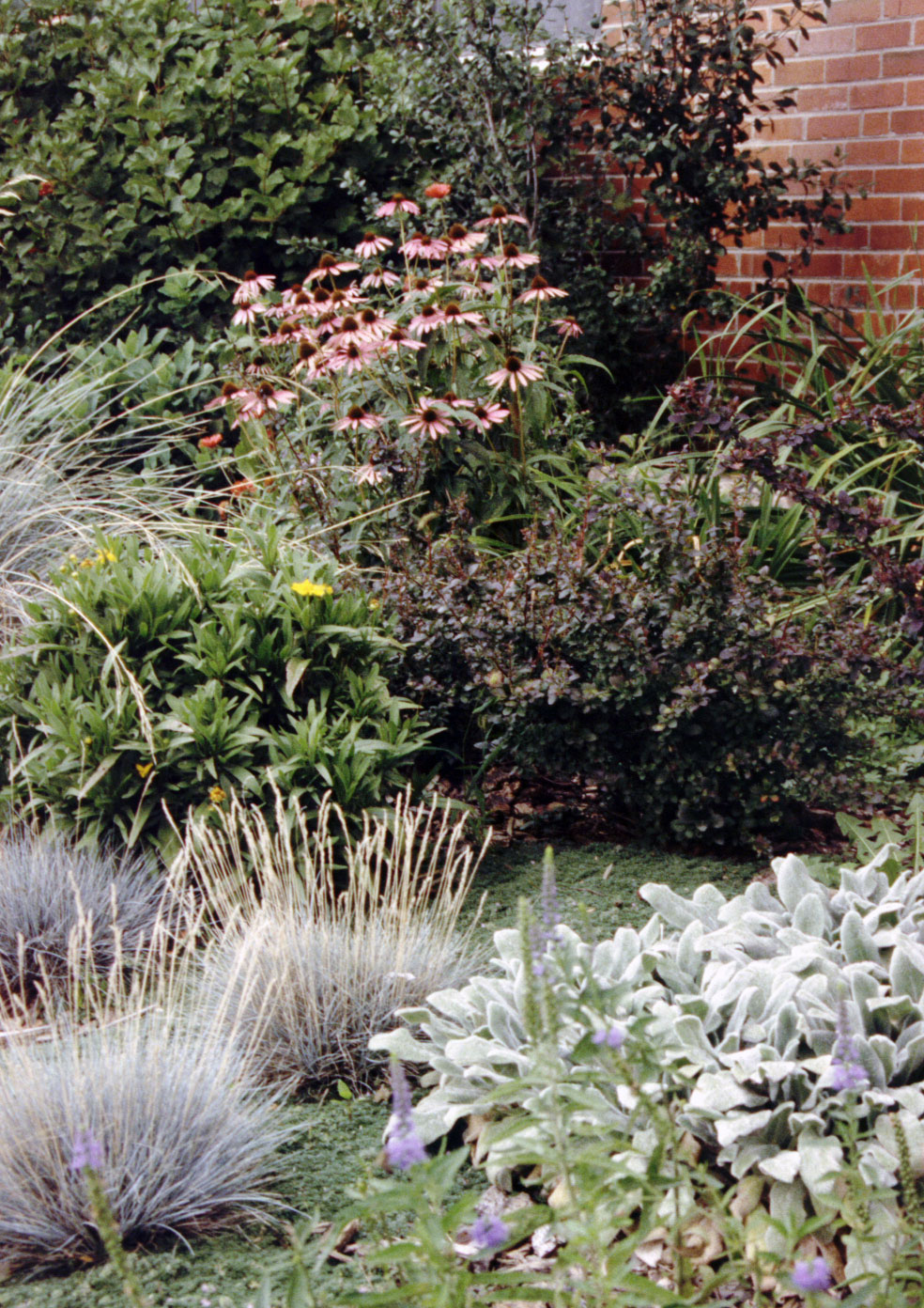 the art garden: Garden Designers' Roundtable: Transitions