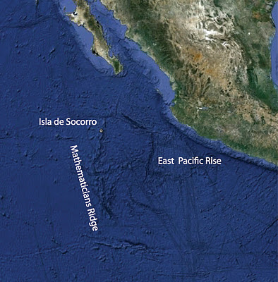 Isla de Socorro - Kirk's Adventure to Socorro Island. - Nautilus ...