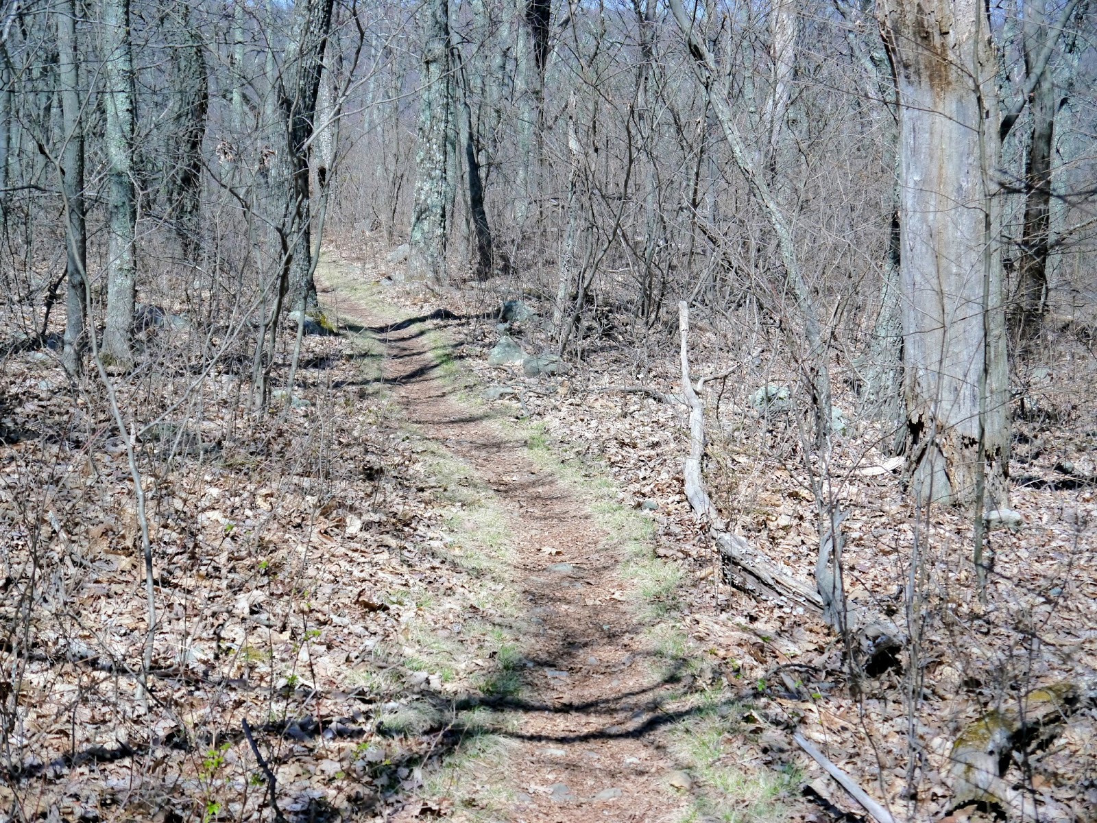 American Travel Journal: Wildcat Ridge Trailhead to Riprap Trailhead ...