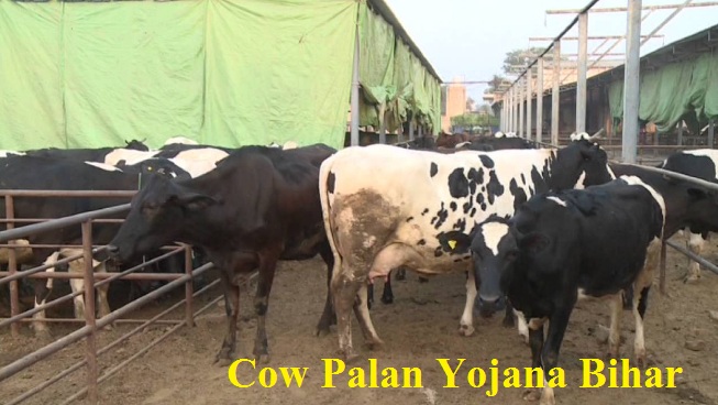Bihar Gaw Palan Yojana - Process to get 50% subsidy to open a dairy ...