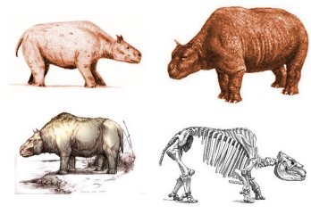 Toxodon - JungleKey.fr Image #400