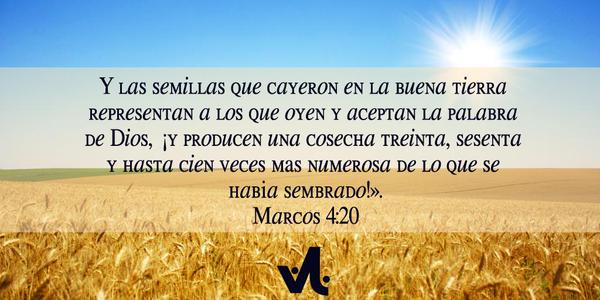 Marcos 4:20 - Versículos Bíblicos