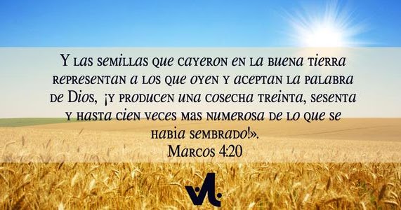 Marcos 4:20 - Versículos Bíblicos