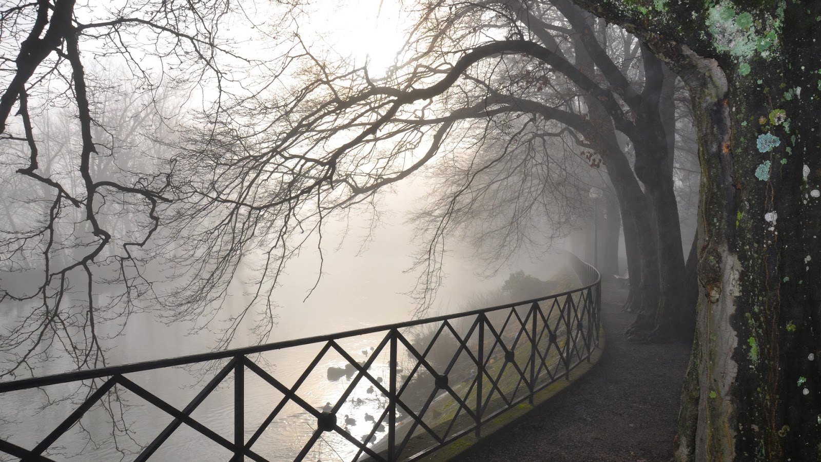 Achtergrond: Park met water en mist | HD Wallpapers