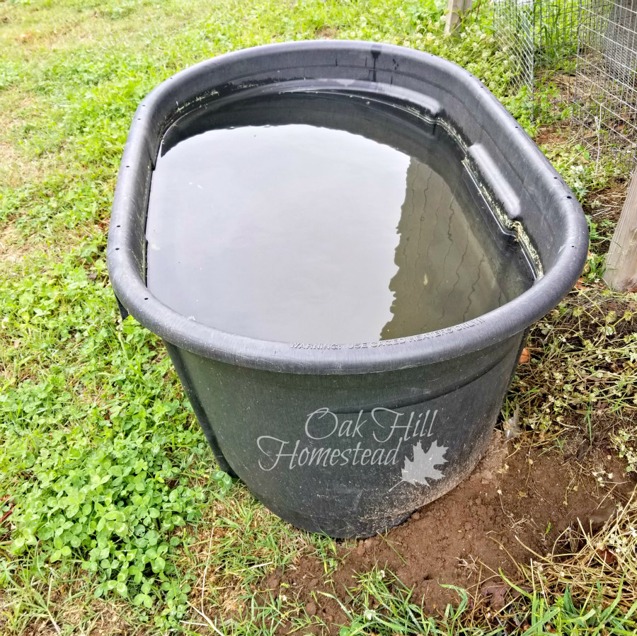 Why You Should be Storing Water [plus a cheat sheet] - Oak Hill Homestead