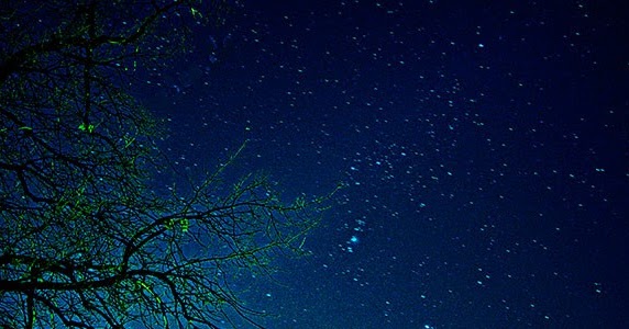 Parnassus Americano: FULGOR DE ESTRELLA Antonio Fco. Rguez. A.