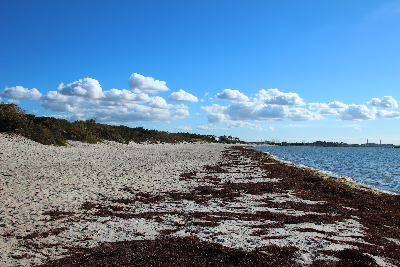Erasmus in Lund: Bike trip : Lomma et Bjärred
