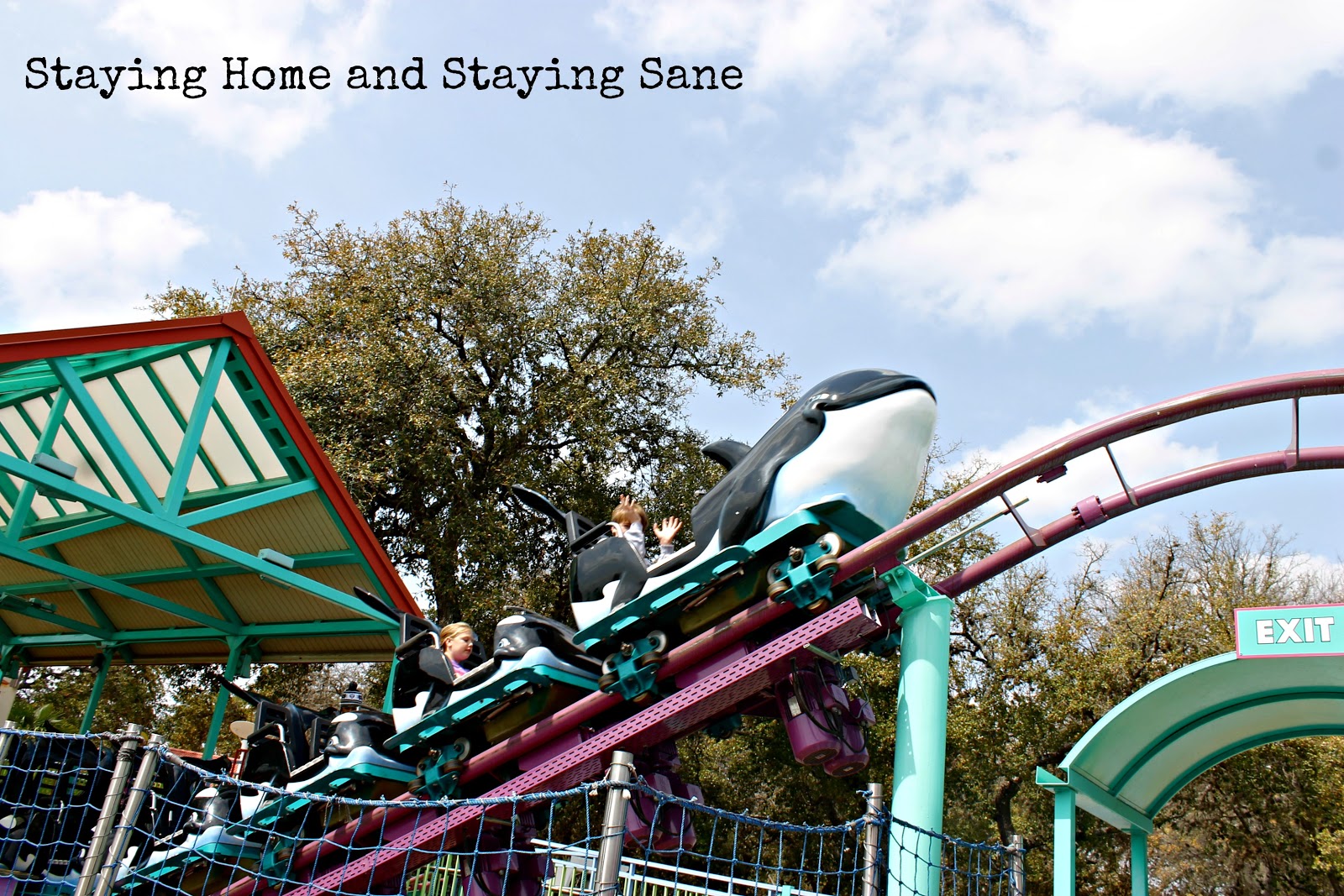 Staying Home and Staying Sane: SeaWorld San Antonio - Family fun...yes ...