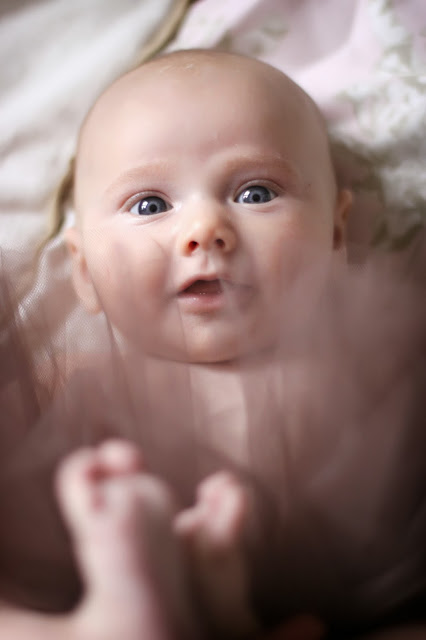 Andrea Finnegan Photography