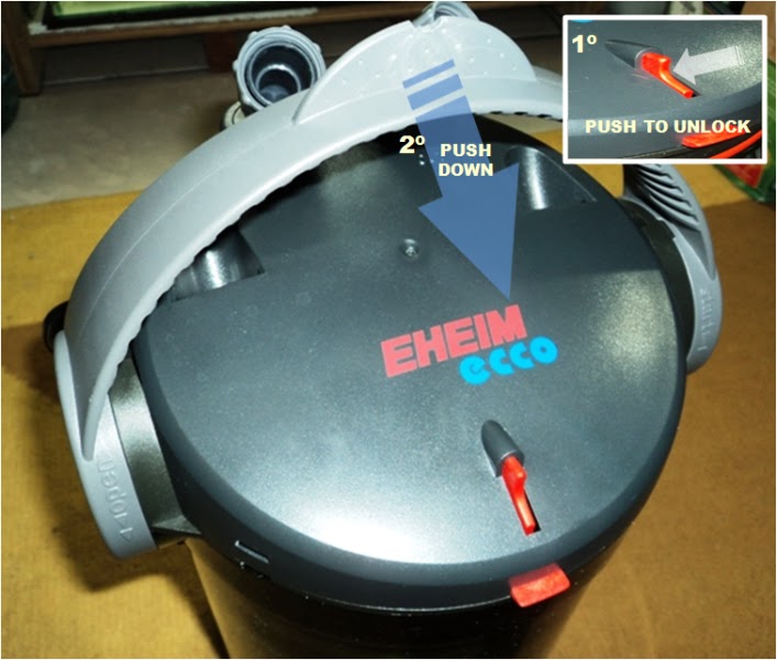 Aquatech: O Hardware do Aquário: Review do Canister Eheim Ecco Confort 2234
