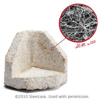 MycoMoon: Mycelium made car parts and styrofoam alternative!