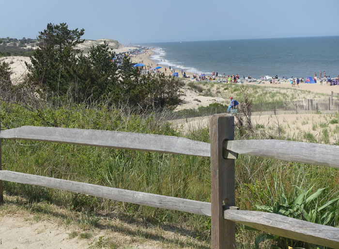 The Intrepid Tourist: WALK IN THE DUNES: Cape Henlopen State Park, Delaware