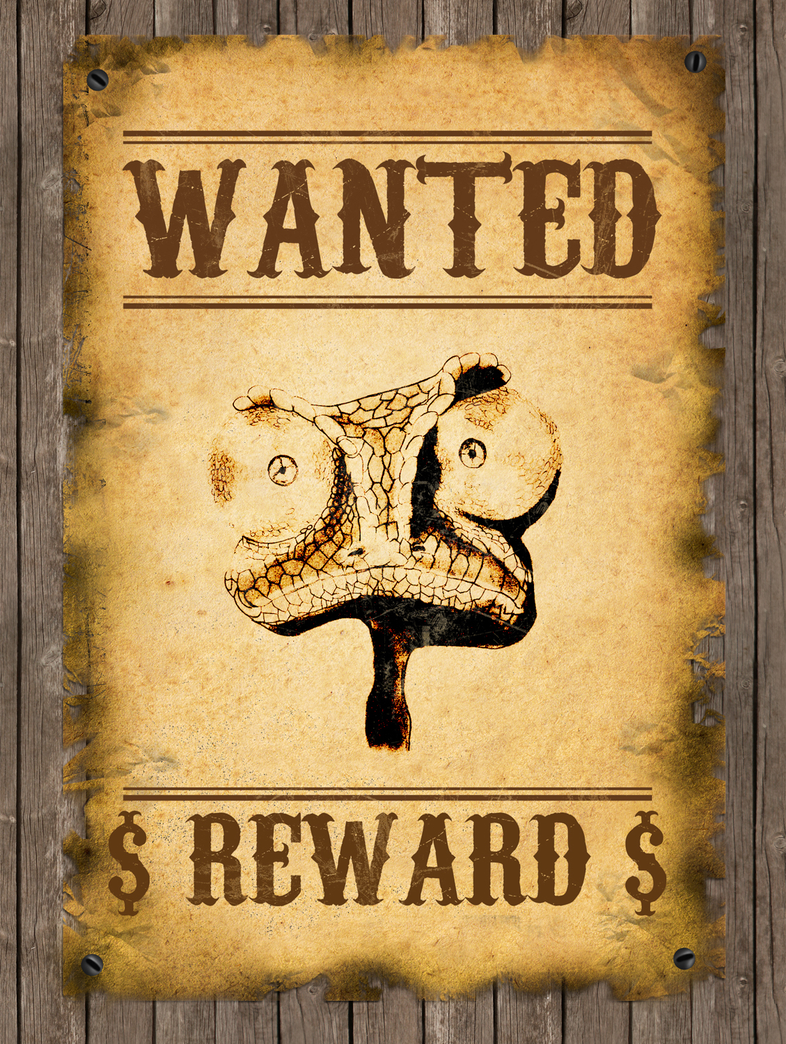 The Geeky Nerfherder: Movie Poster Art: Rango (2011)