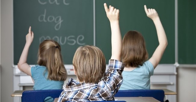 El aula de los leones.: MASCOTA DE LA CLASE.