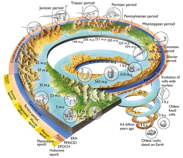 Geologic time scale : A Time Line for the Geological Sciences - Earth ...