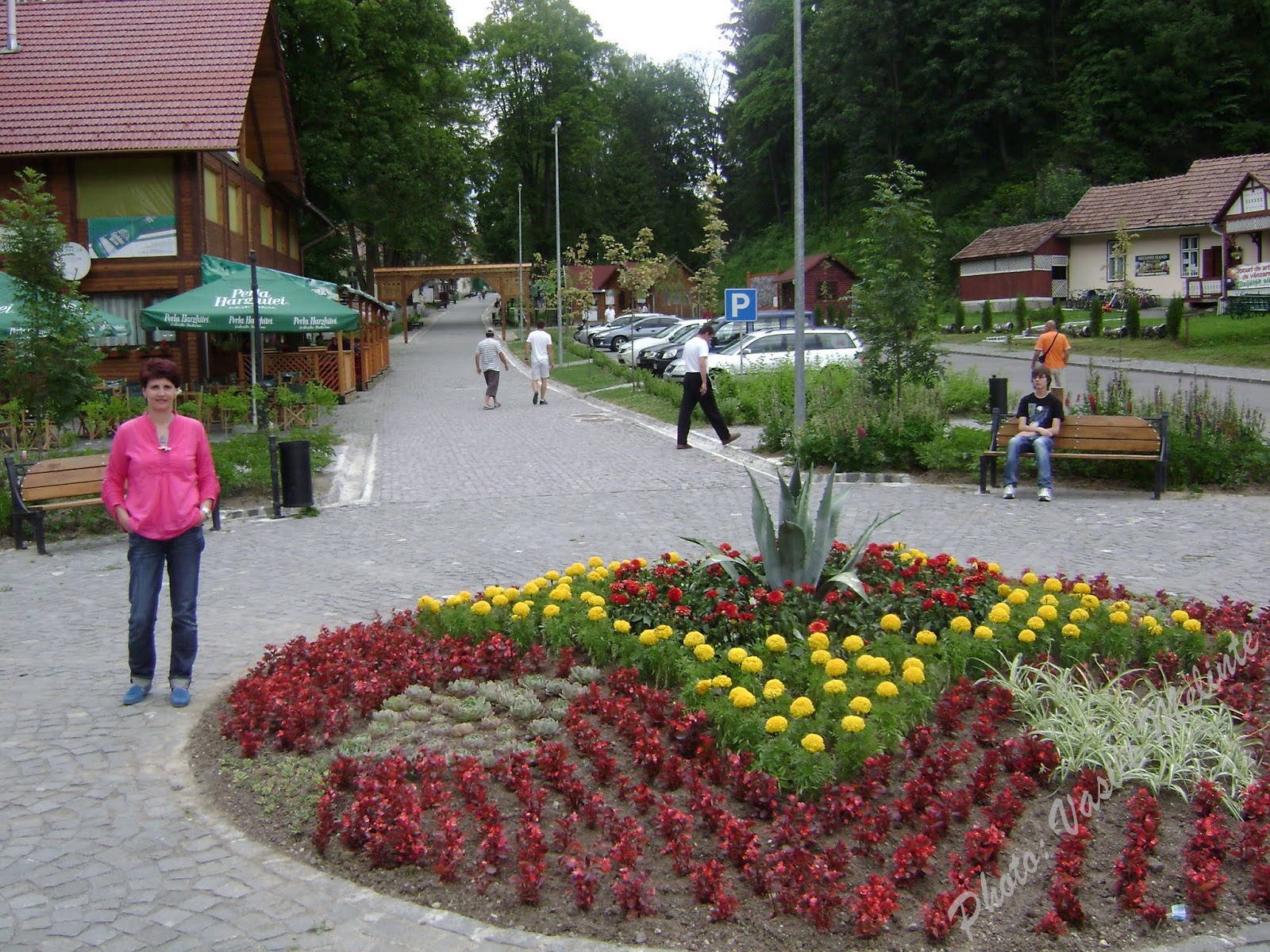 DESCOPERI ROMÂNIA PAS CU PAS cu vlaico: Borsec, tânăra stațiune bătrână
