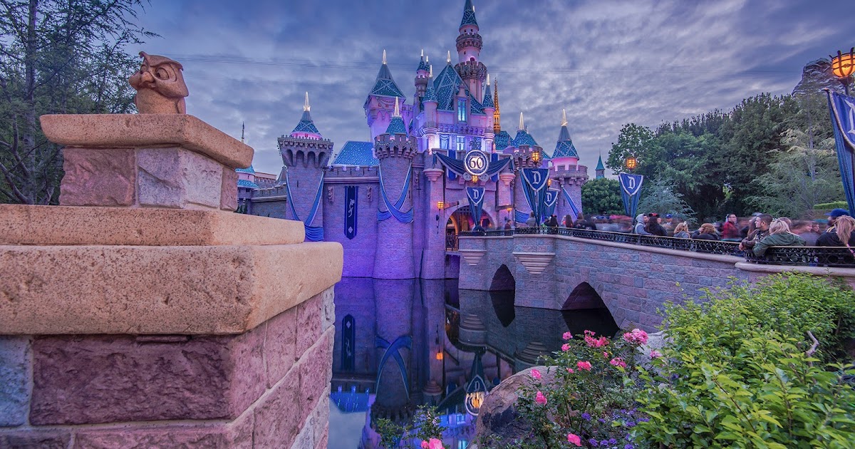 Disney Photoblography