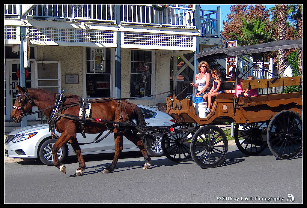Cedar Key (Florida) Photos: Horse Drawn Open Carriage