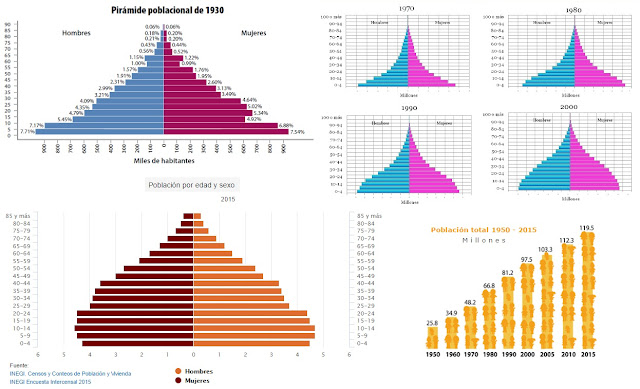Piramide poblacional