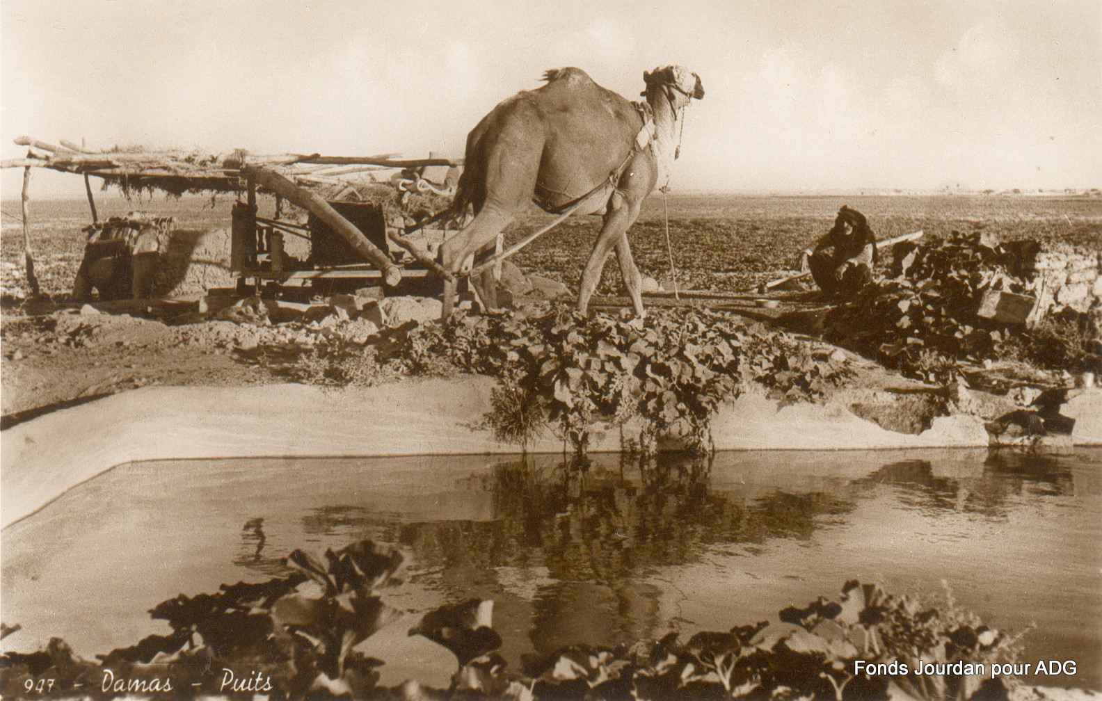 Années de guerre: Albert Jourdan du 506e RCC au 63e BCC en Syrie