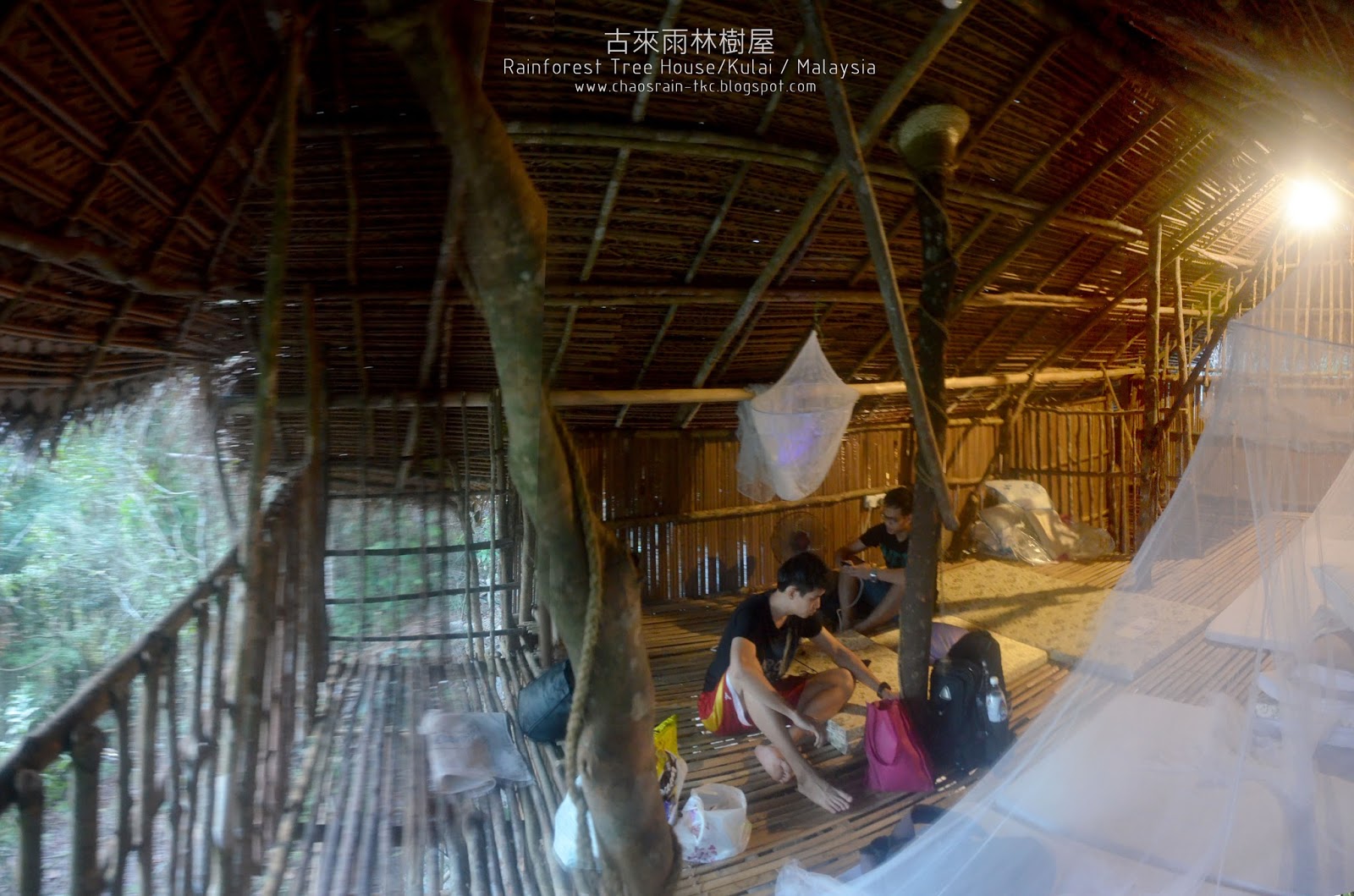 柔南避暑秘境 | 古來普萊山瀑布 | Rainforest Treehouse | Gunung Pulai Waterfall, Kulai