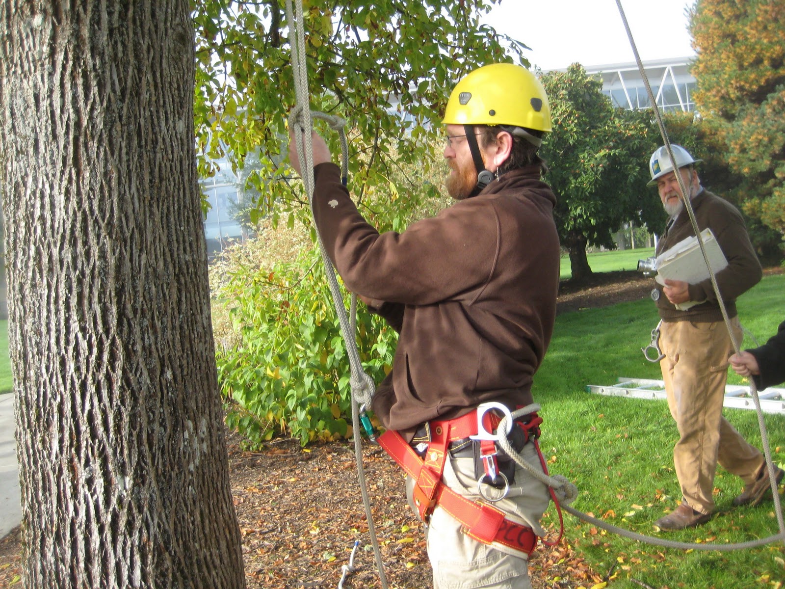 Living on a Finite Planet: Tree Climbing
