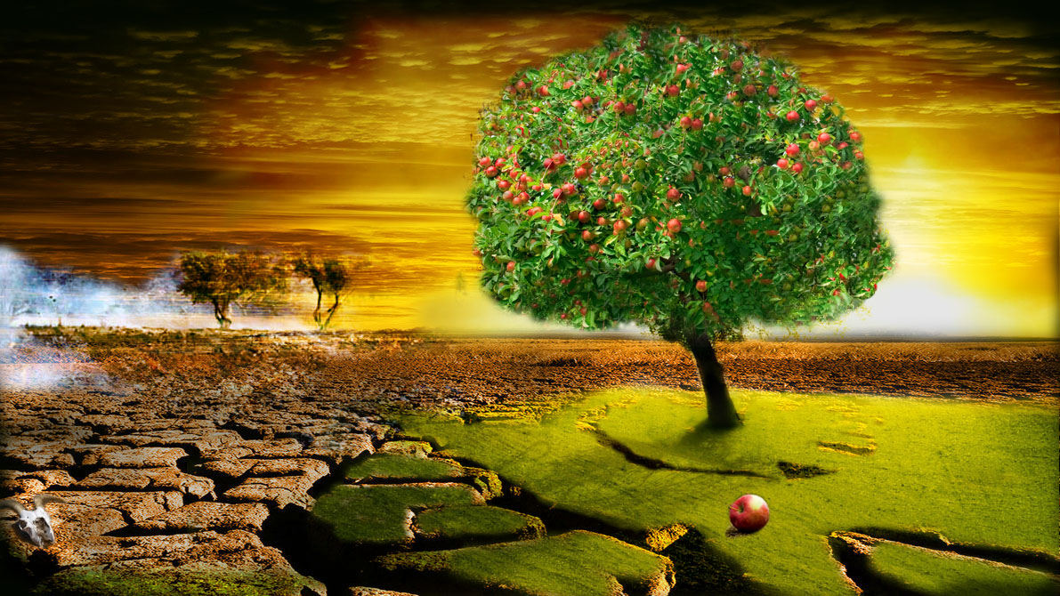 Photographs Thoughts Memories...