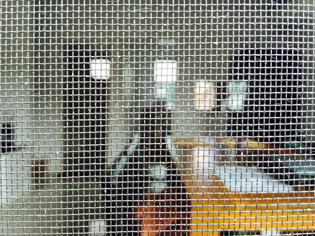 Aussie's Hub: Top 5 Tips to Buy Mesh Screen for Your Home