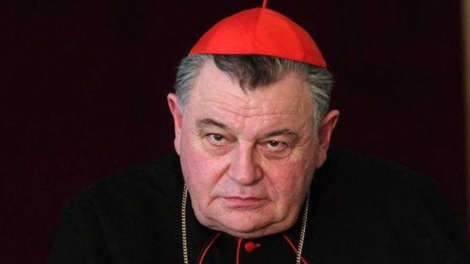 The Eponymous Flower: Cardinal Duka Levels Criticism Against "Welcoming ...