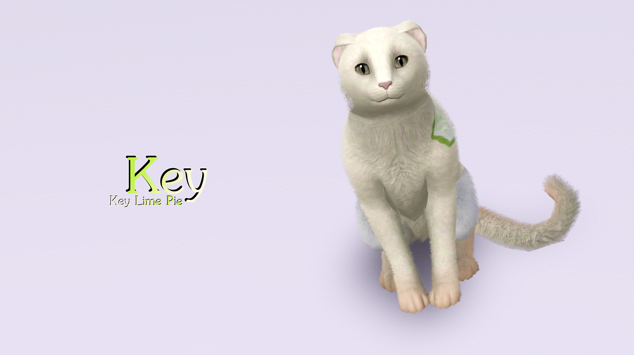 My Sims 3 Blog: New Cats by Catlover800